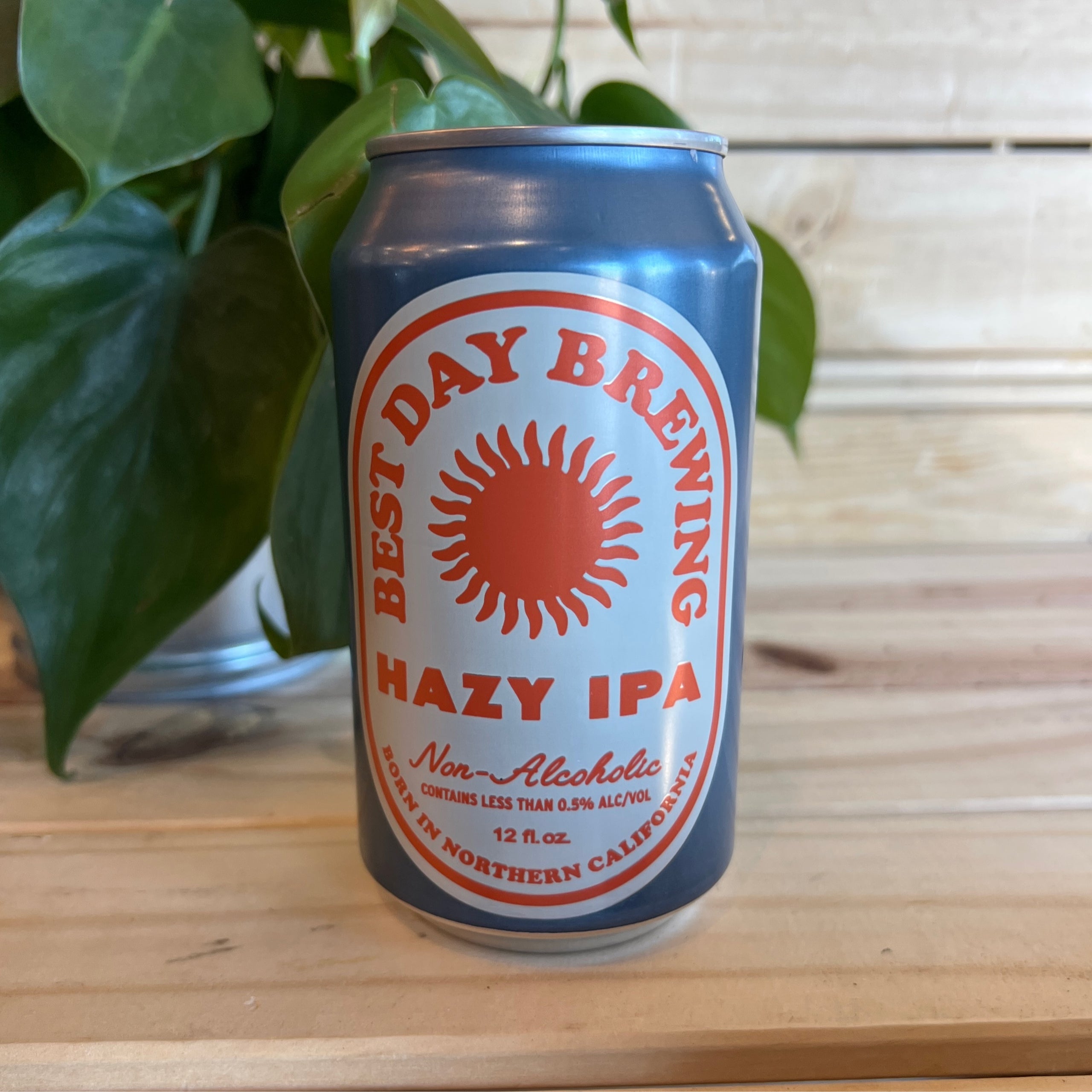 Best Day Brewing - Hazy IPA | Shea cheese