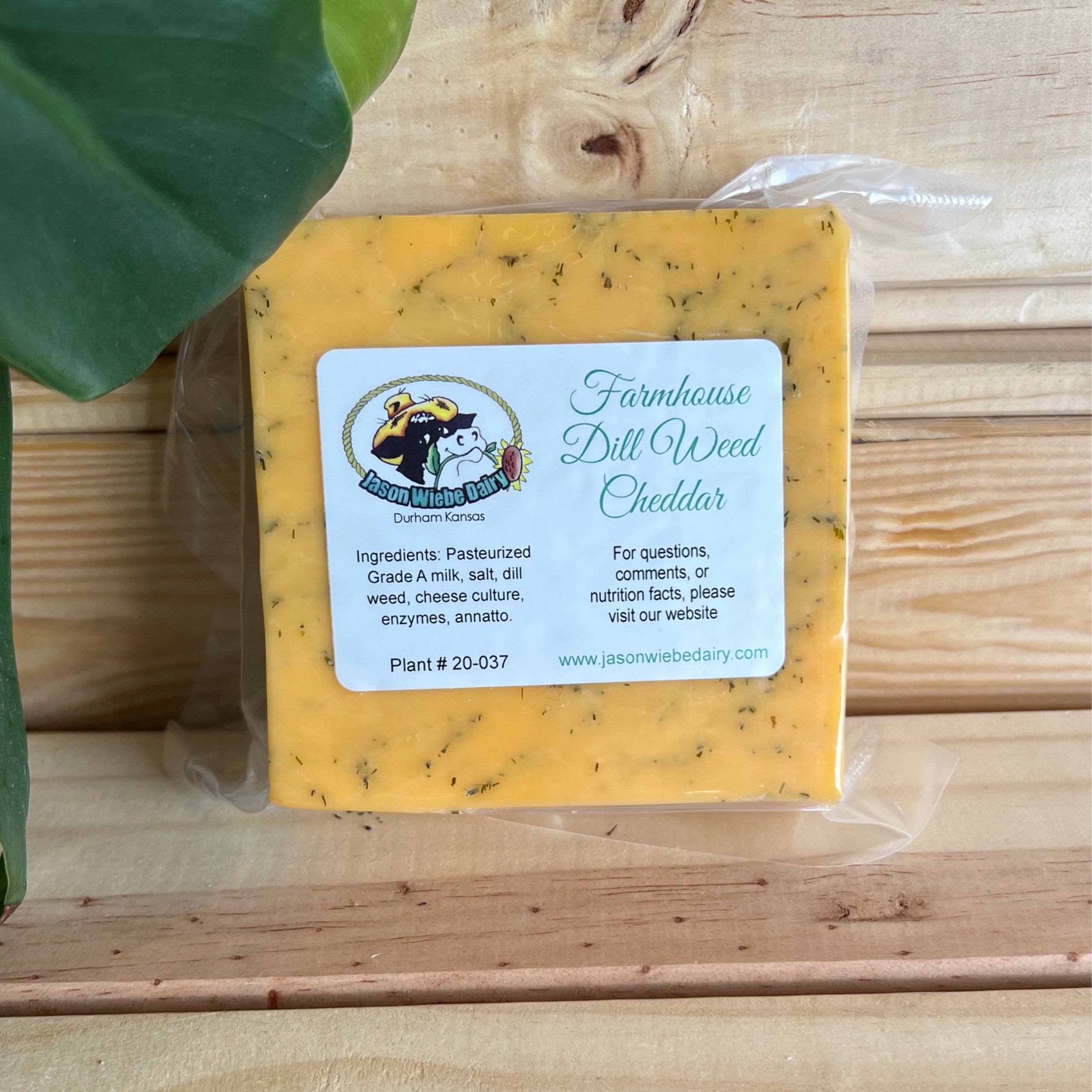 Jason Wiebe Dairy - Dill Weed Cheddar | Shea cheese